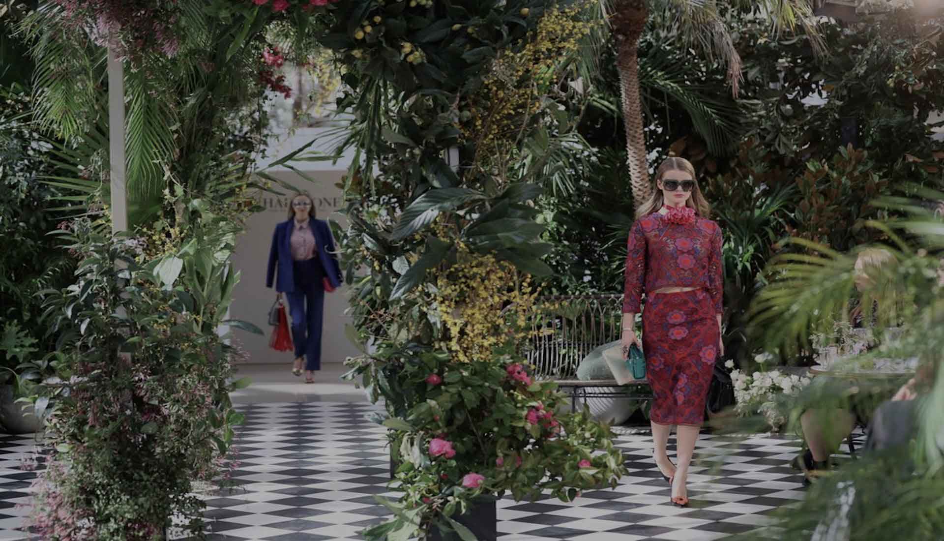 + Blog - Verve Agency